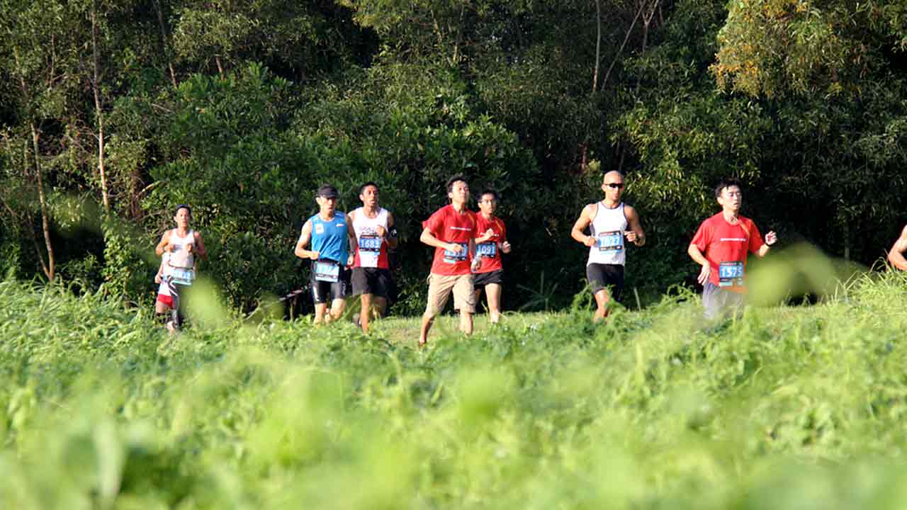 Race Registration: Salomon X-Trail Run 2011