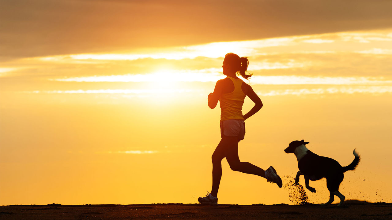 A Guide to Running with Dogs