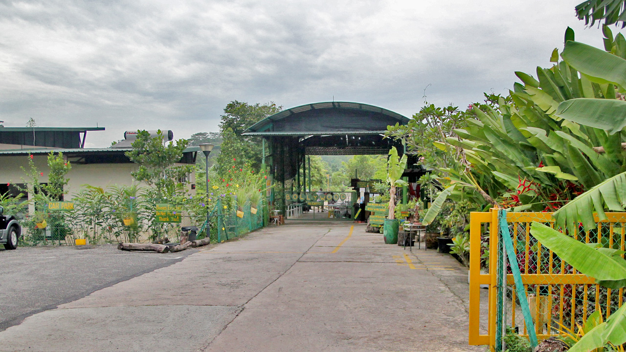 Kranji Countryside Run 2013: Be In Touch With Nature