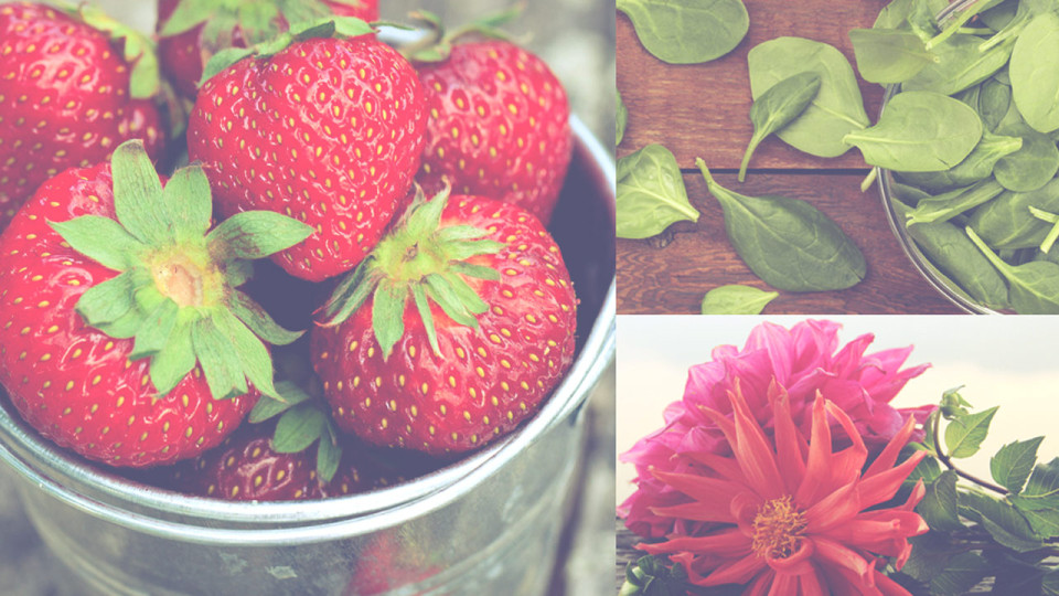 5 Easy Healthy Post Workout Shakes Recipes