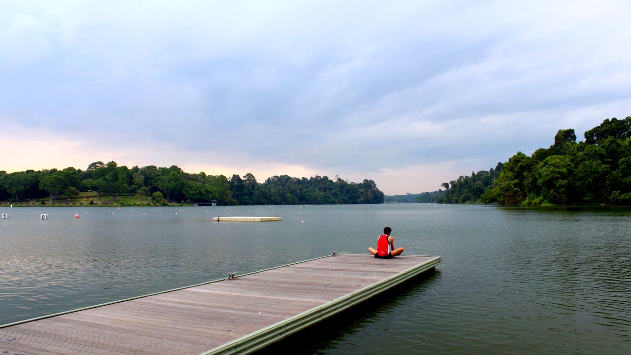 Save Our MacRitchie: 4 Reasons Why It's Every Runners' Sweetheart