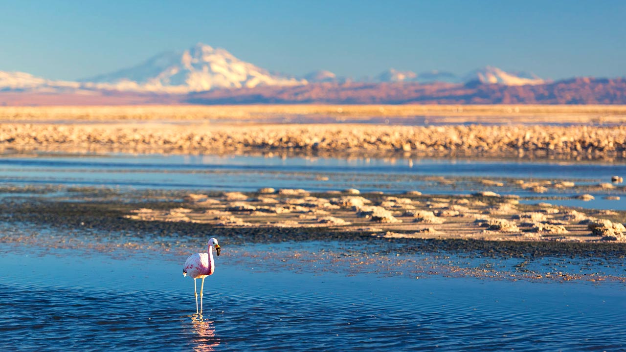 Run 250km in an Otherworldly Desert at the Atacama Crossing!