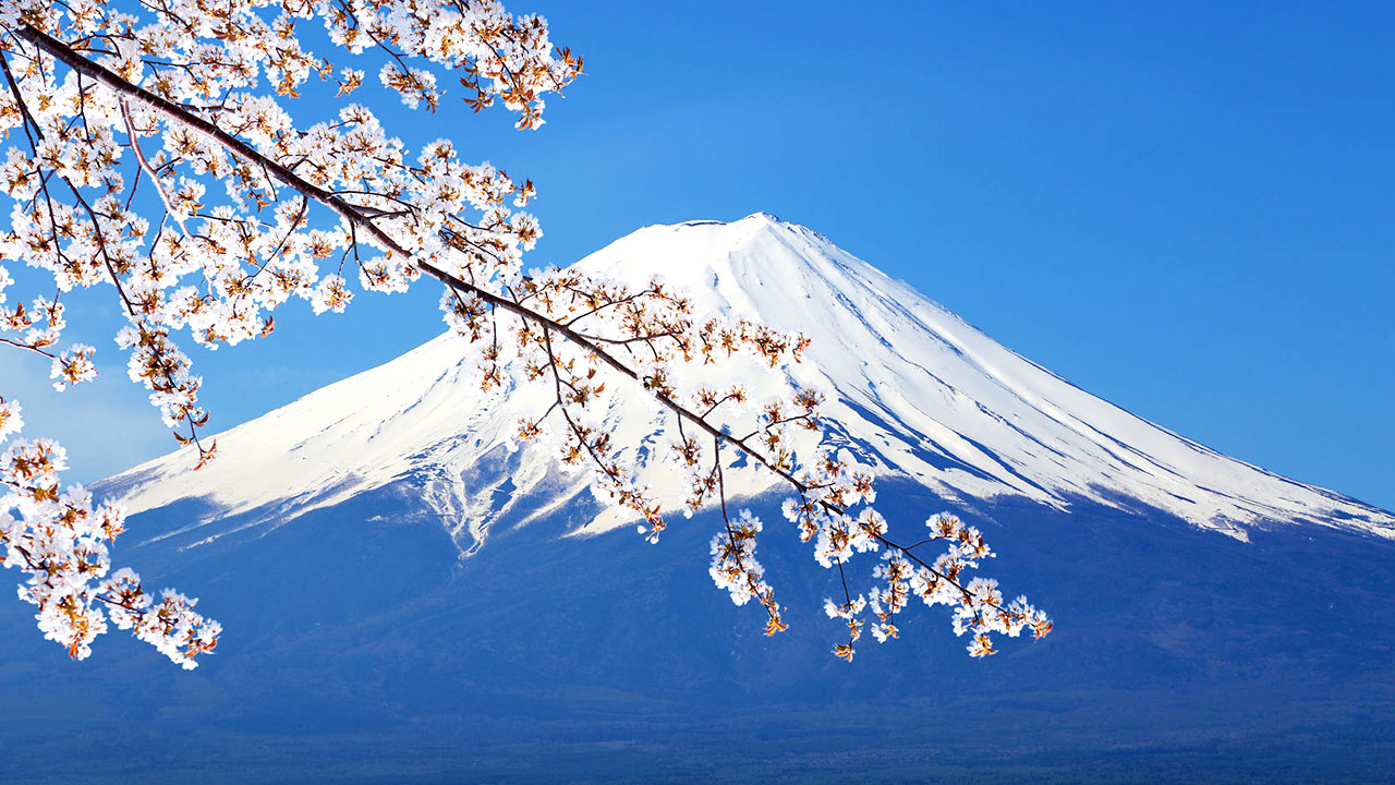Experience Spring in Mount Fuji with the 25th Challenge Fuji 5 Lakes ...