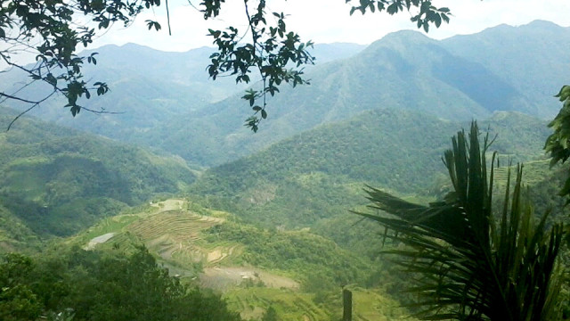 10 Great Running Trails in the Philippines
