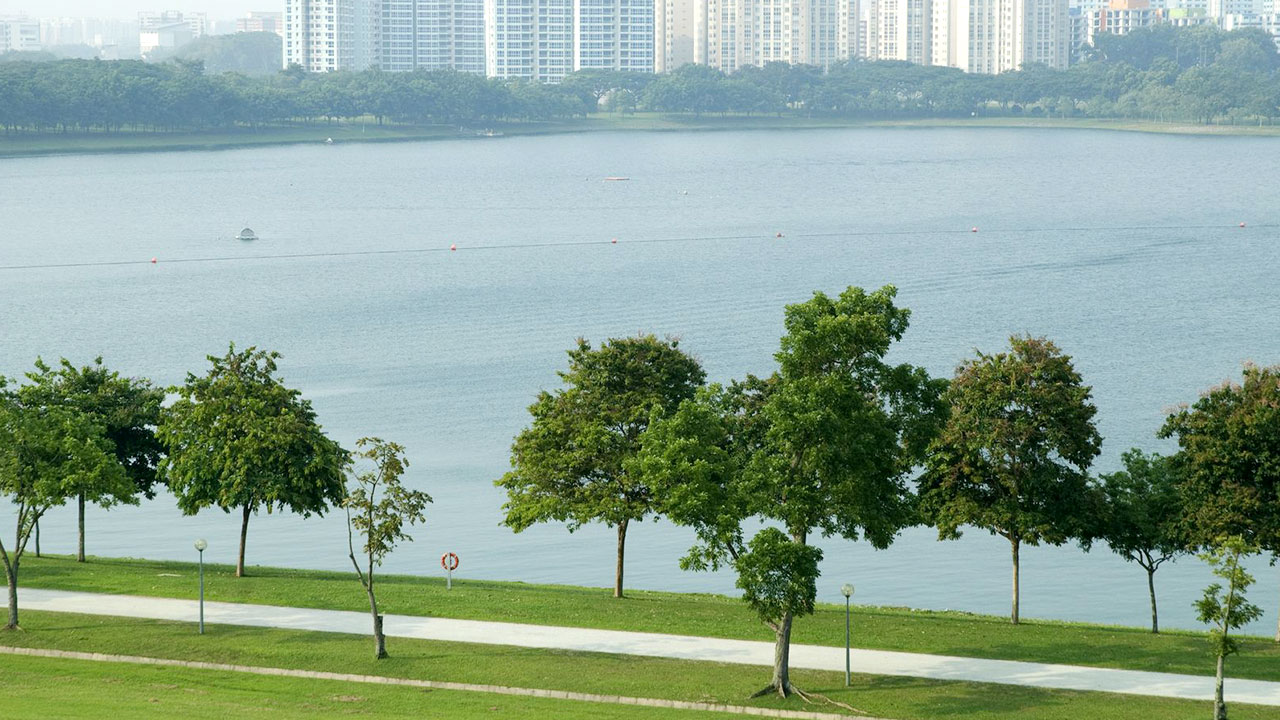 Unlock The Rewards of Remarkable Singapore Park Connector Running Routes