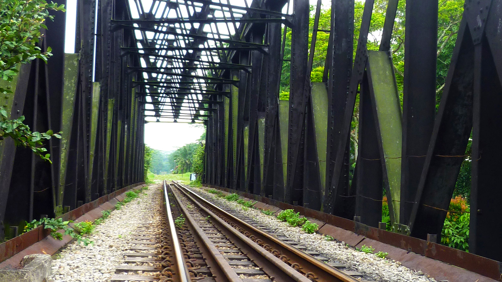 New Green Corridor Brings "Lines of Life" to All Singaporeans