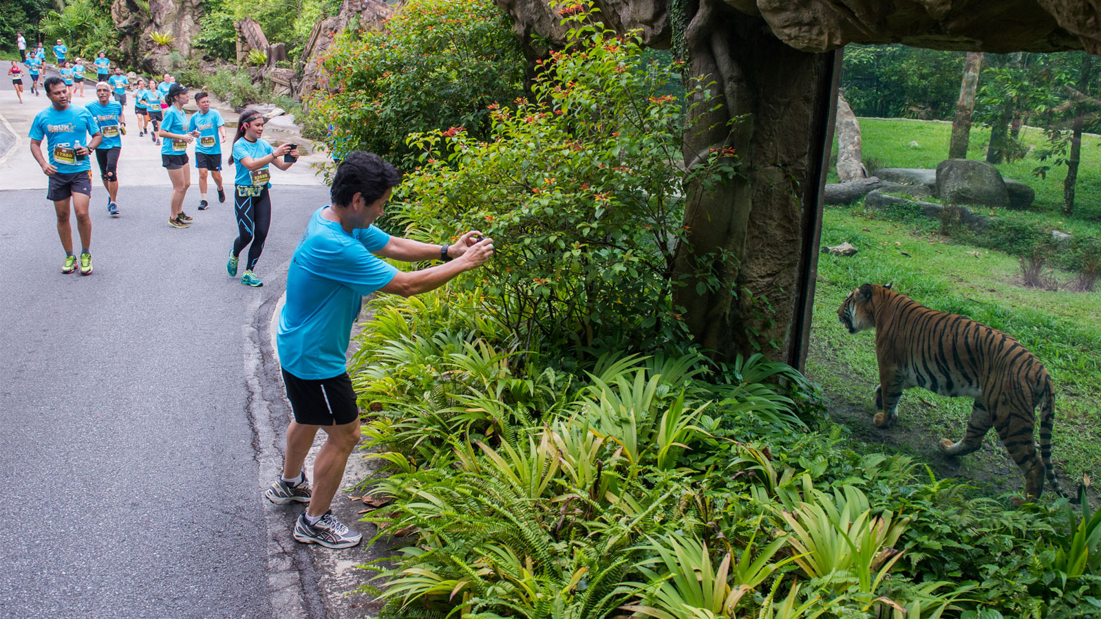 Safari Zoo Run 2017 Raises $100,000 For Wildlife Conservation
