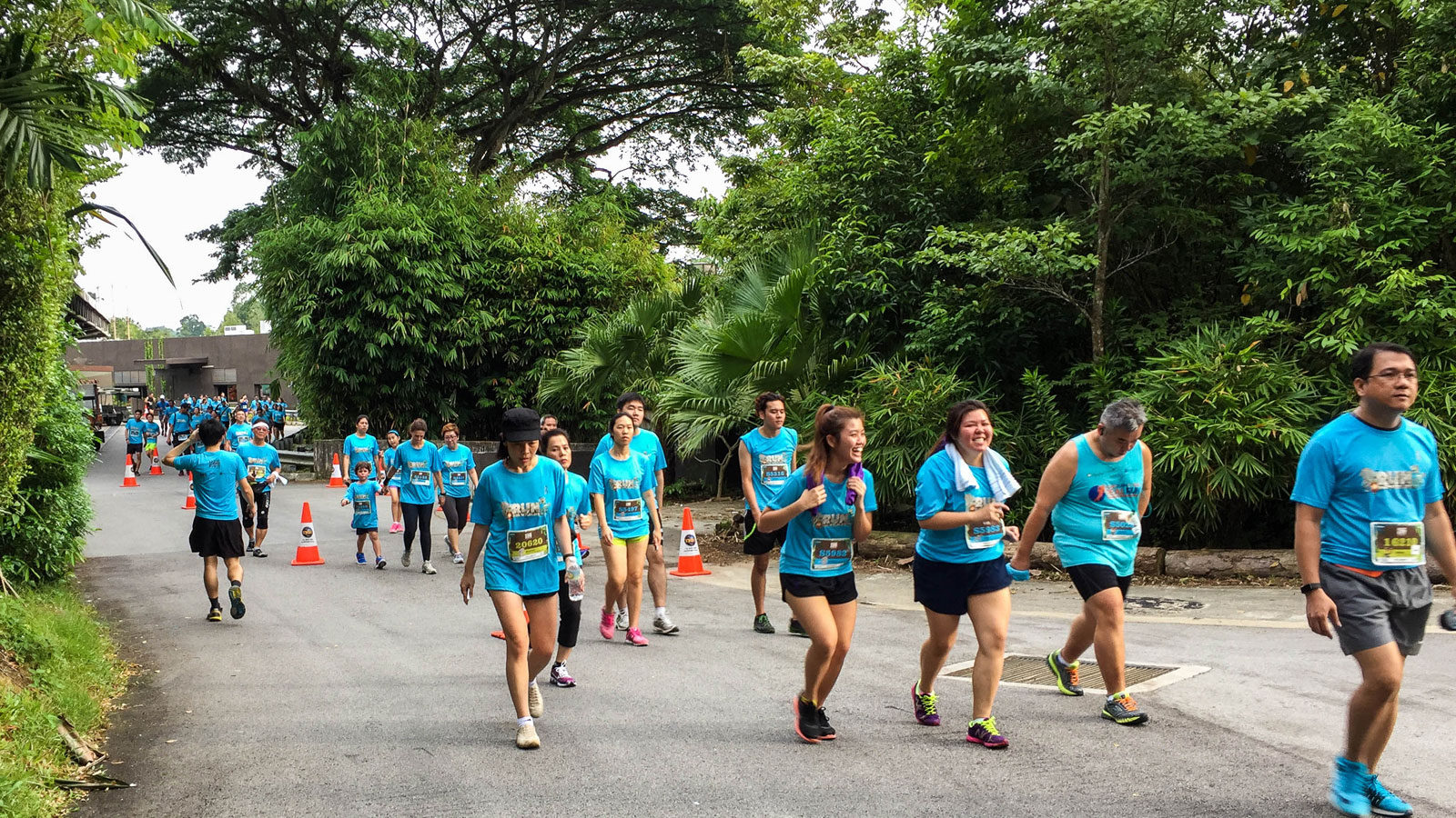 Safari Zoo Run 2017 Race Review: Support Wildlife Conservation by Running