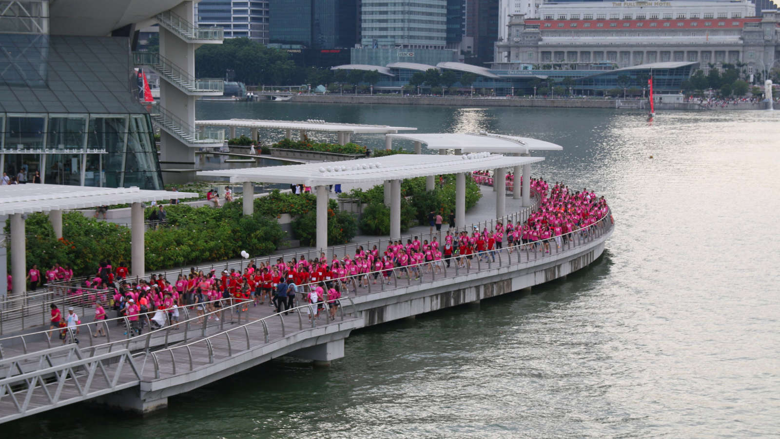 Pink Ribbon Walk 2017: Singapore's Very First Pink Ribbon Parade in ...