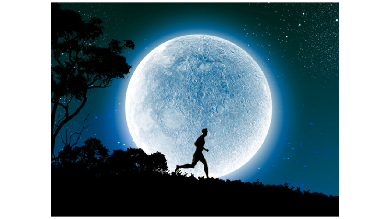 Moon Shadow Night Run | RunSociety – Asia's Leading Online Running Magazine