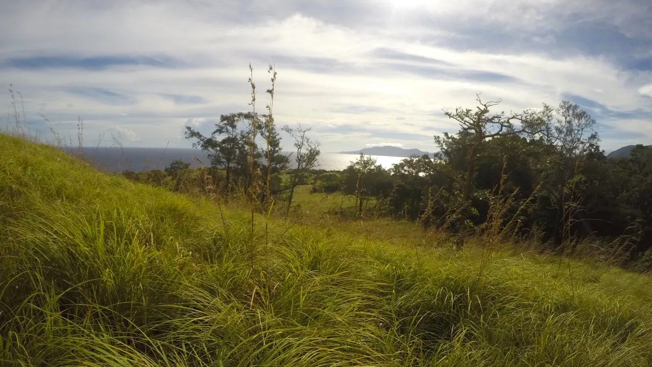 Run With The Wind Pagudpud 2018 | RunSociety – Asia's Leading Online ...