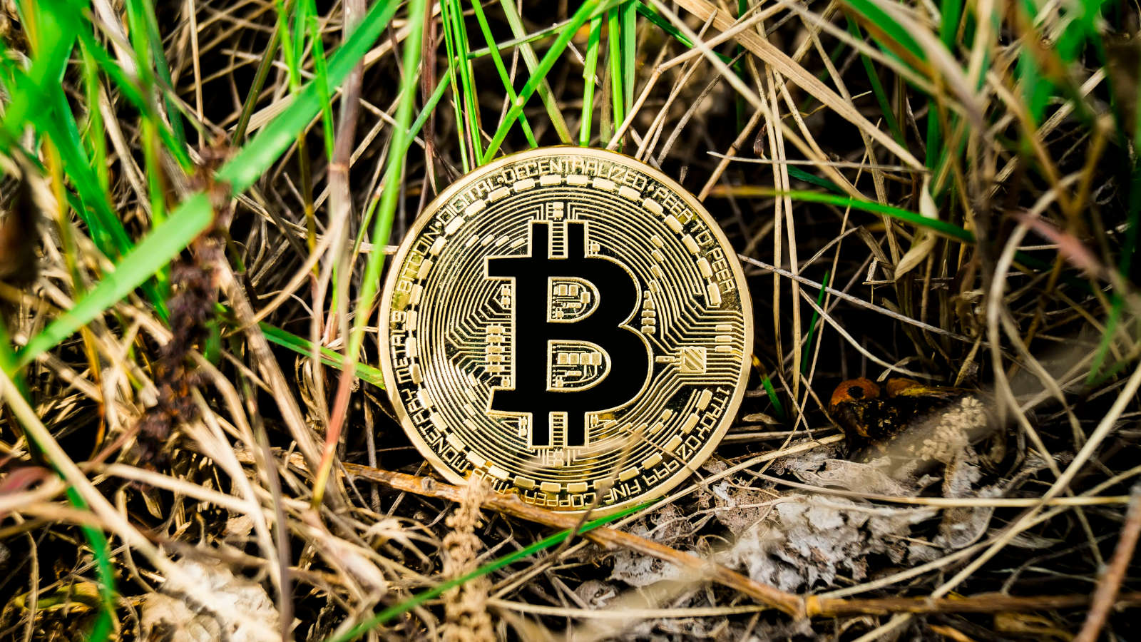 Forget About Bitcoin: You Want Runcoins in Your Life—and Now!