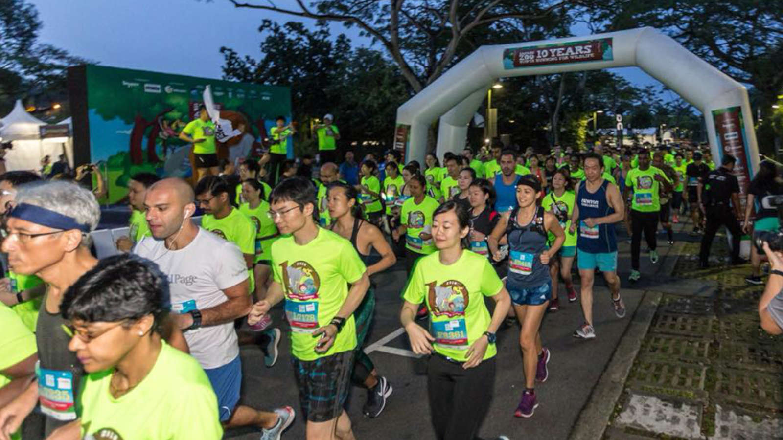 Safari Zoo Run 2018 Race Results Are Available!
