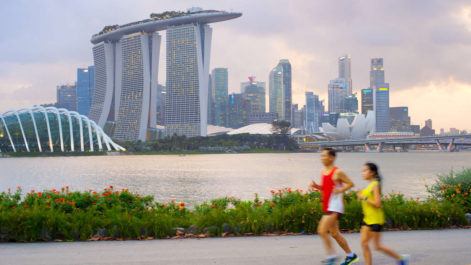 New 2XU SG-Run: Expect Twice the Fun and Excitement This Year