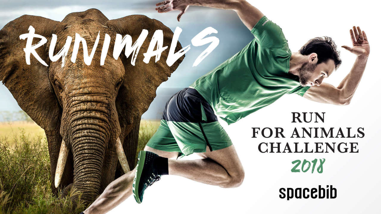 Run For Animals Challenge 2018 | RunSociety – Asia's Leading Online ...