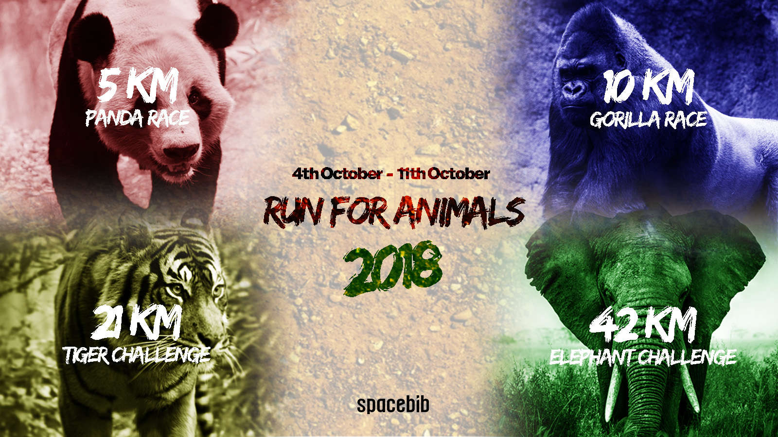 The Animals Depend On You To Run For Them This Time!