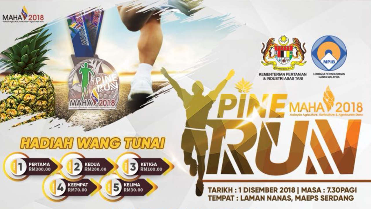 Pine Run MAHA 2018 | RunSociety – Asia's Leading Online Running Magazine