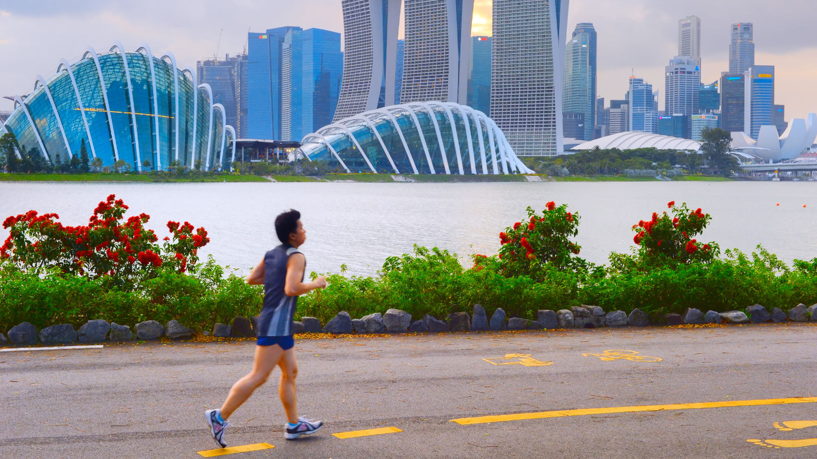 Running Places in Singapore: 5 Unusual Locations For You To Plan Your ...