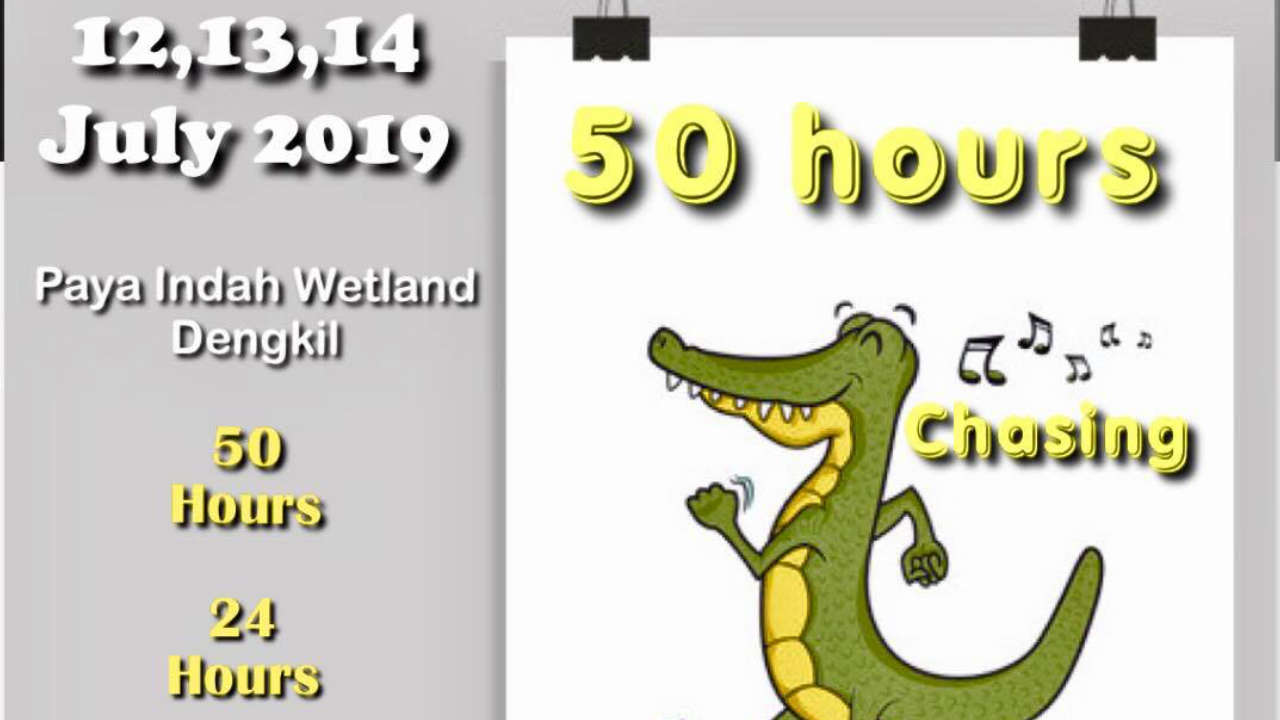 50 Hours Chasing Crocodile Run | RunSociety – Asia's Leading Online ...