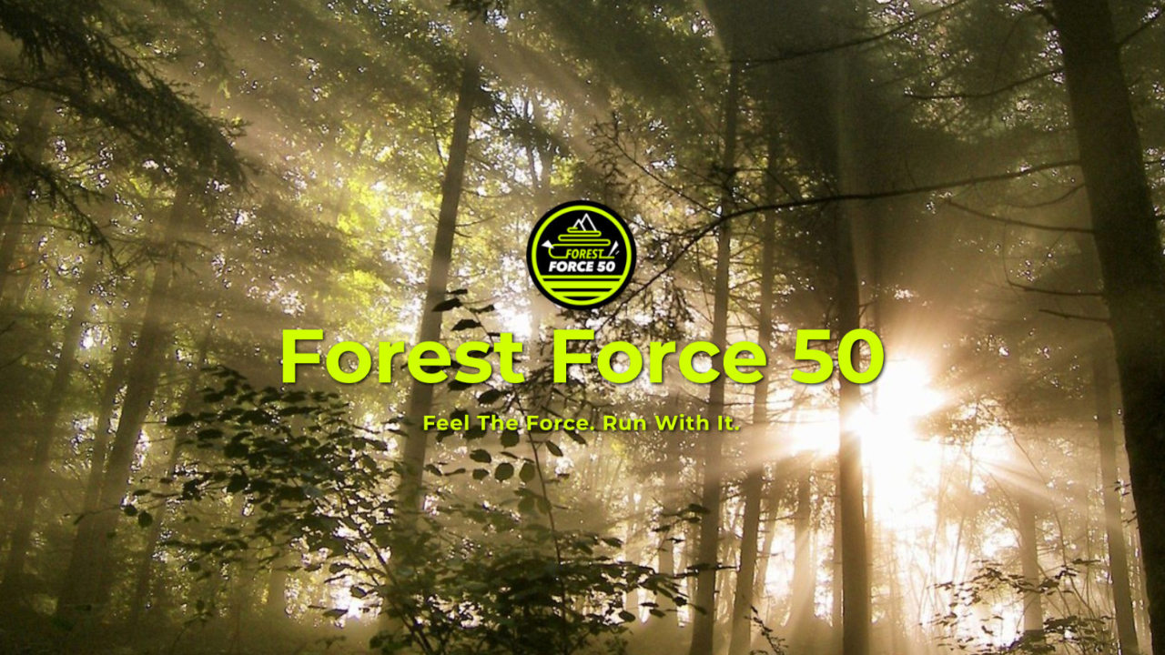 Volvic Forest Force 50 2020 (Postponed) | RunSociety – Asia's Leading ...