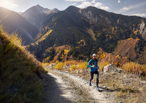 Free ultra marathon training plan by 10 elite ultra runners