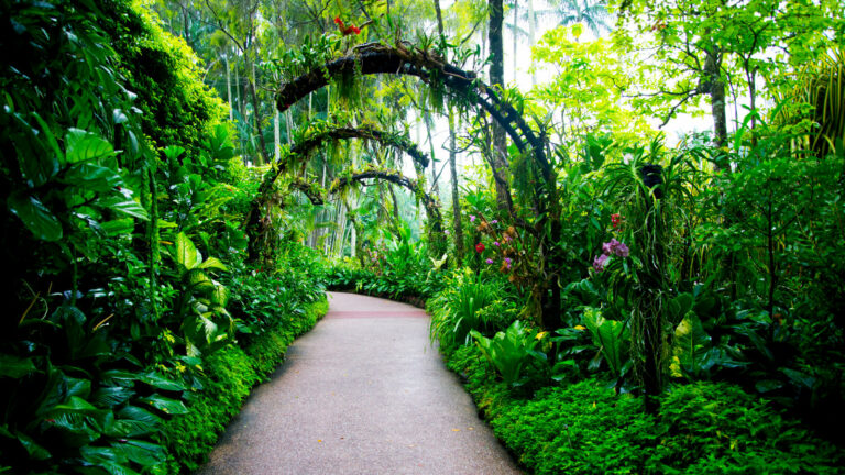 Singapore's Best Nature Parks and Greenery Spots for Runners in 2024