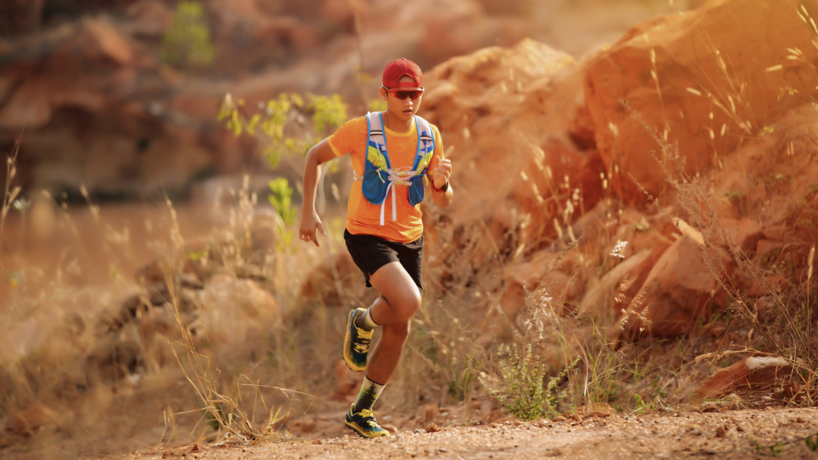 Ultra Marathoner 101: Useful Tips for Beginners to Get Started