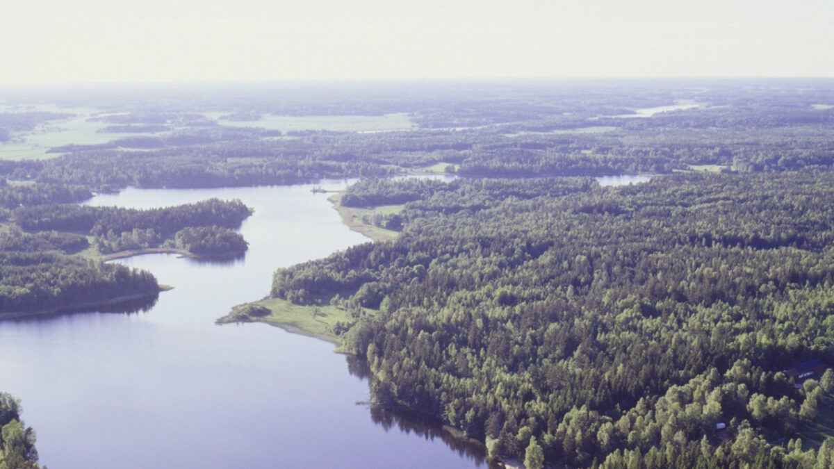 Race Through Paradise: The 6 Lakes Marathon—A Swedish Stunning Trail ...